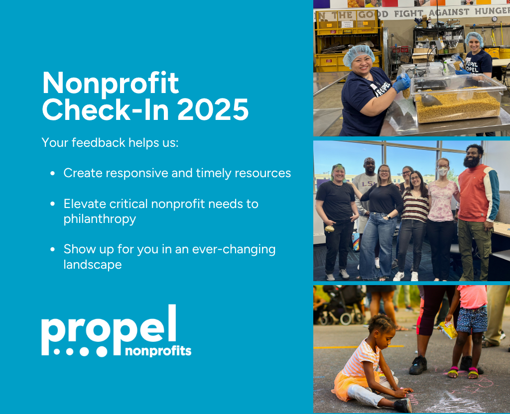 Nonprofit Check-In 2025 - Propel